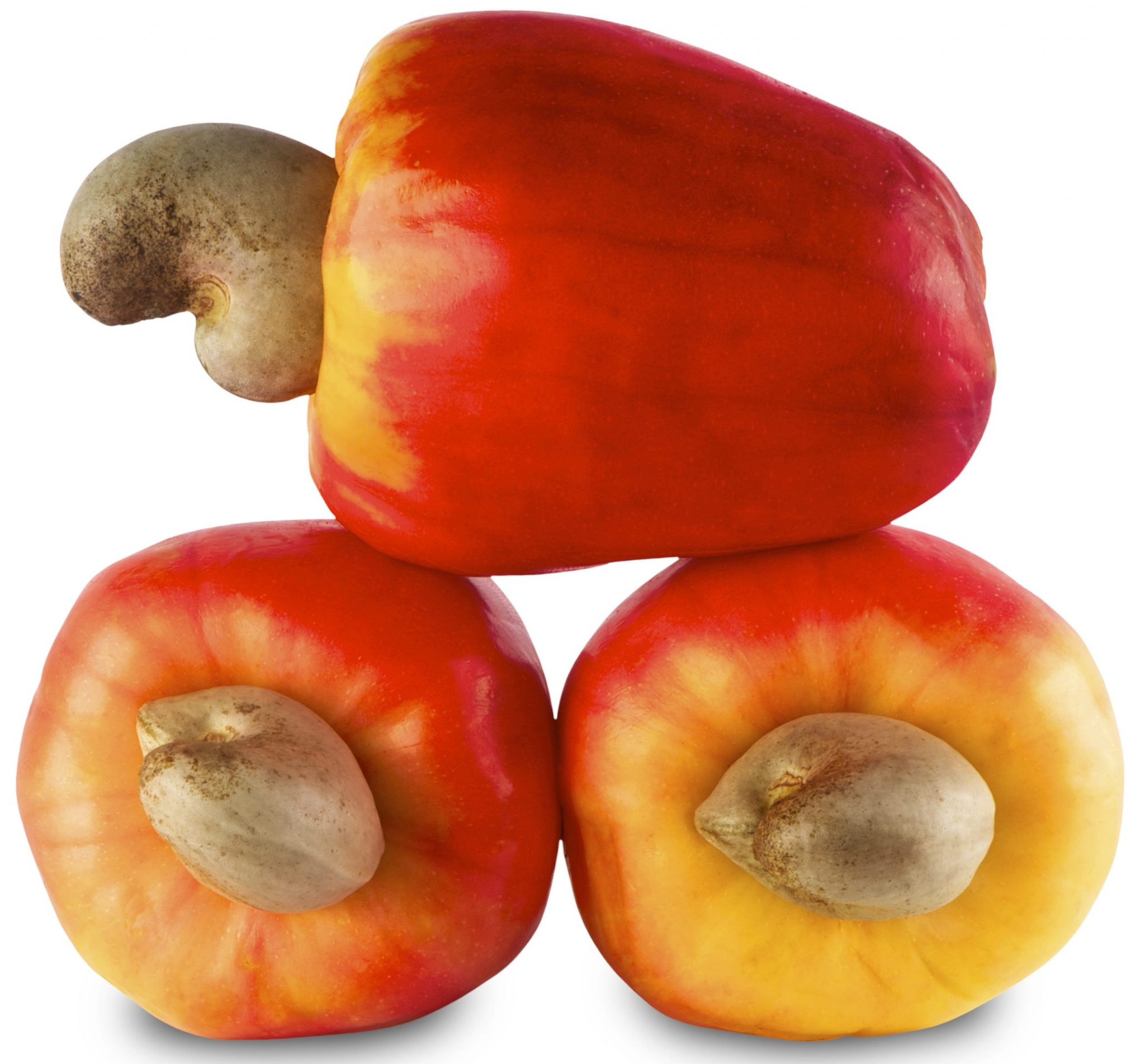 APRIL 27, 2018 - NX-2026 Nominated for Innovation Award ‘’Bio-based ...