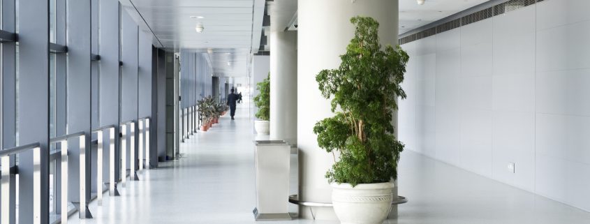 Page 2 – Cardolite Corporation