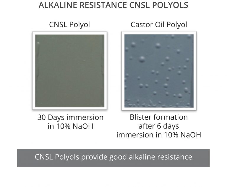 Renewable Polyols And Diols based on CNSL | Cardolite