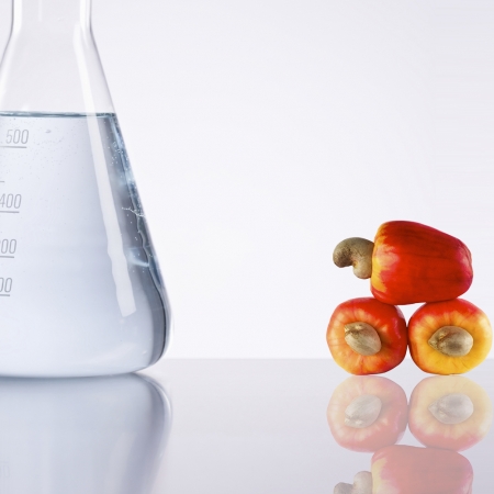 Specialty Chemicals News & Resources | Cardolite