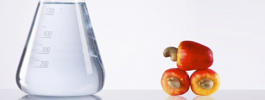 Cardolite Corporation