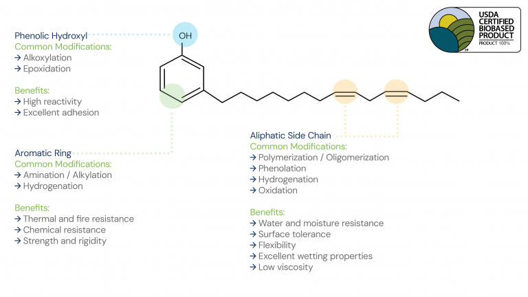 Cashew Nutshell Liquid (CNSL) Technology - Cardolite