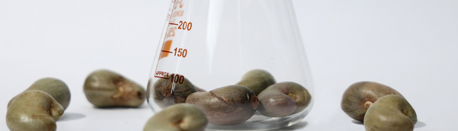 Cashew Nutshell Liquid (CNSL) Technology - Cardolite